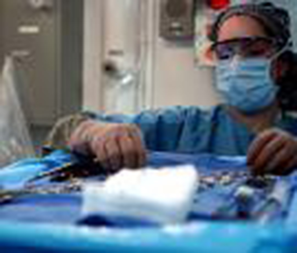 Project Maintenance and Repair Services - Absolute Converting Solutions